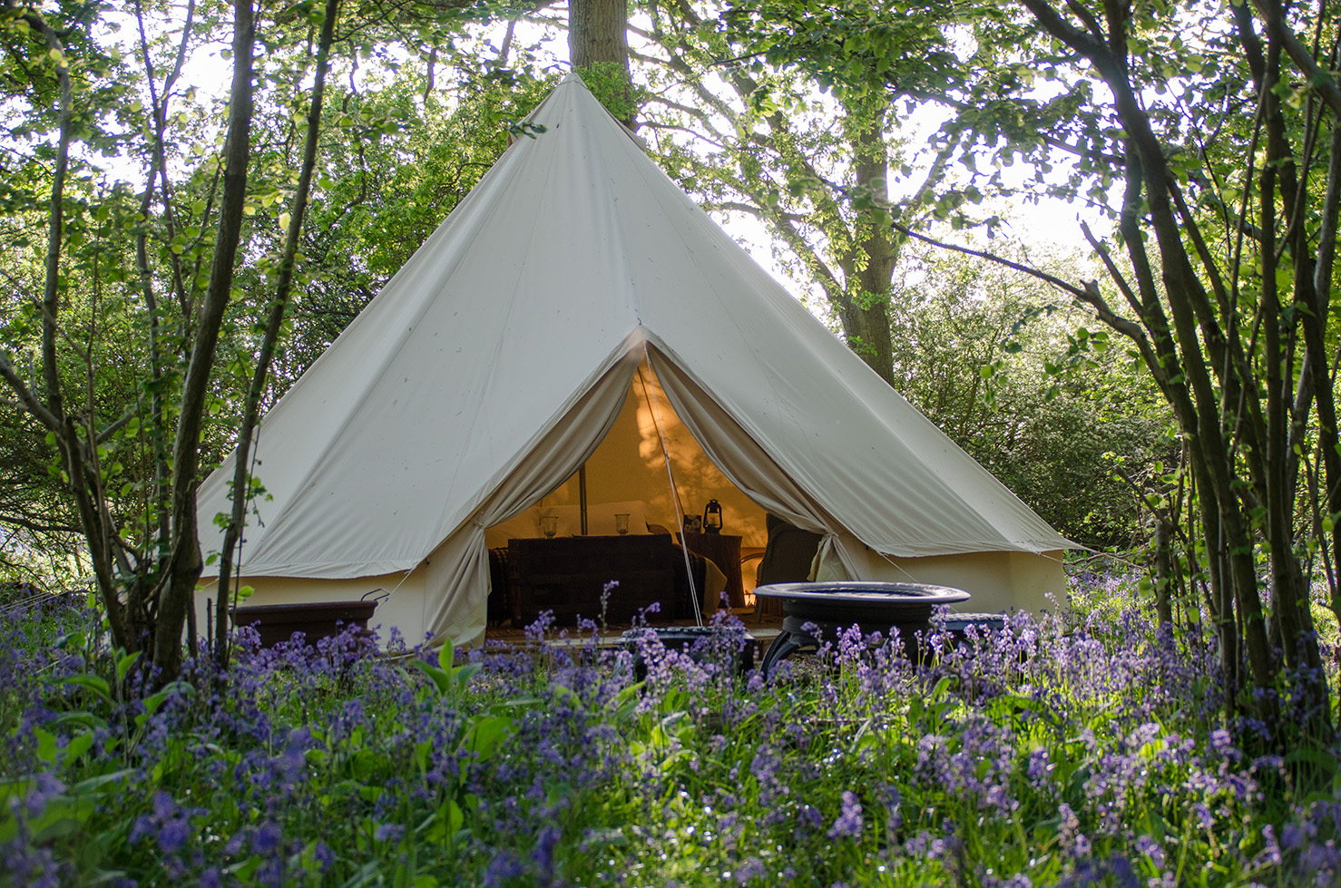 Bechstein's Bell Tent - Knepp