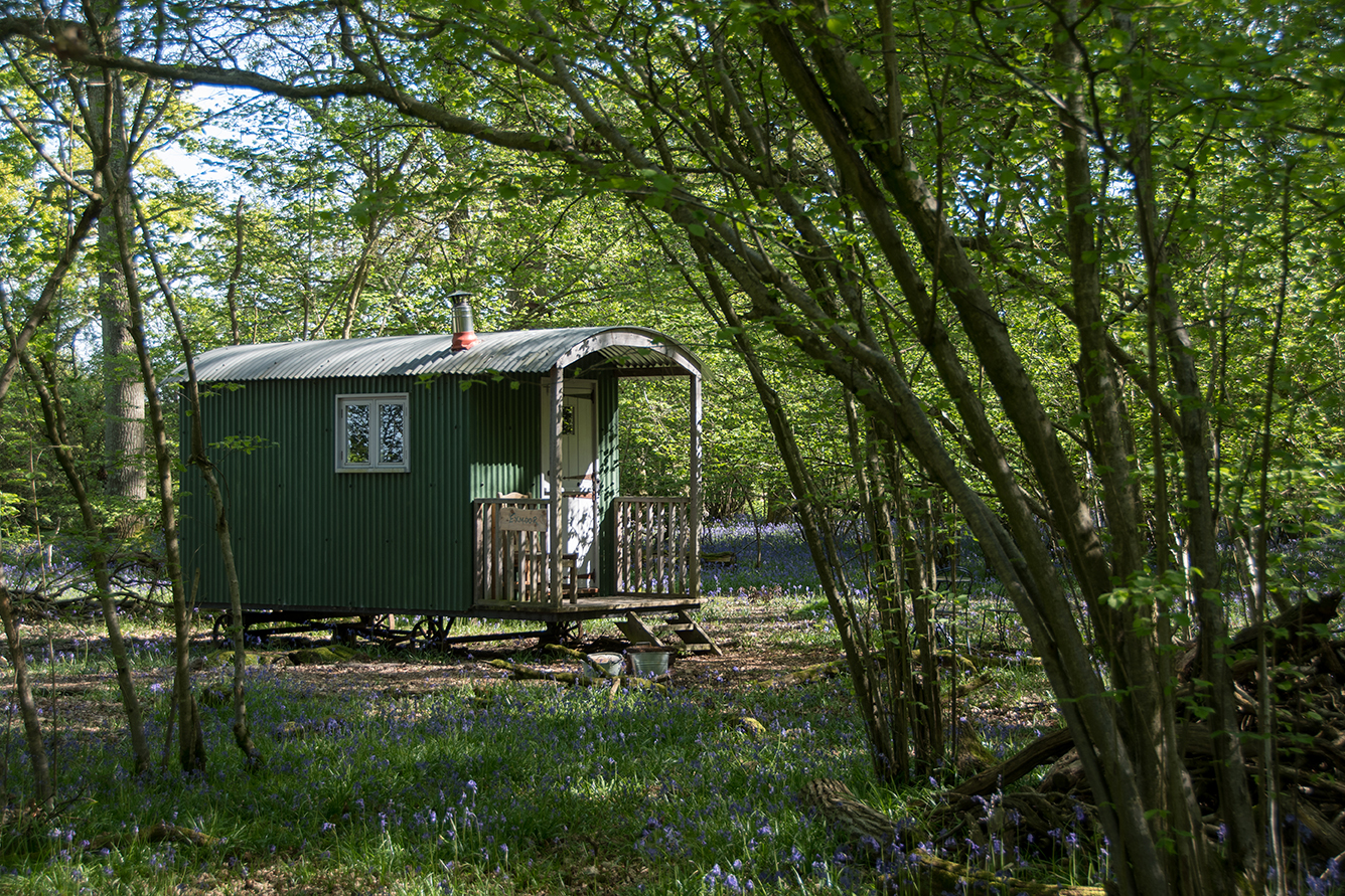 Exmoor Hut - Knepp