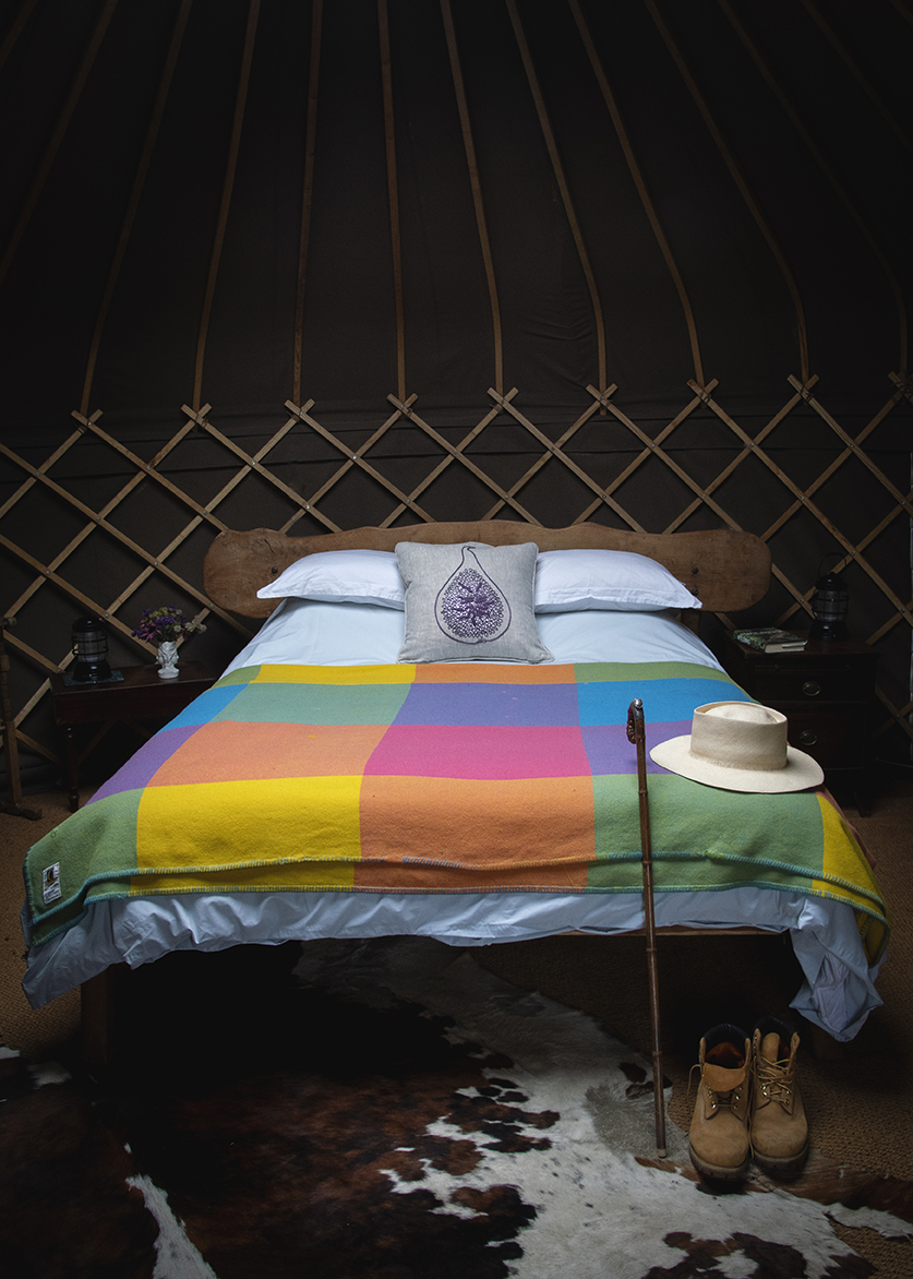 Turtle Dove Yurt - Knepp