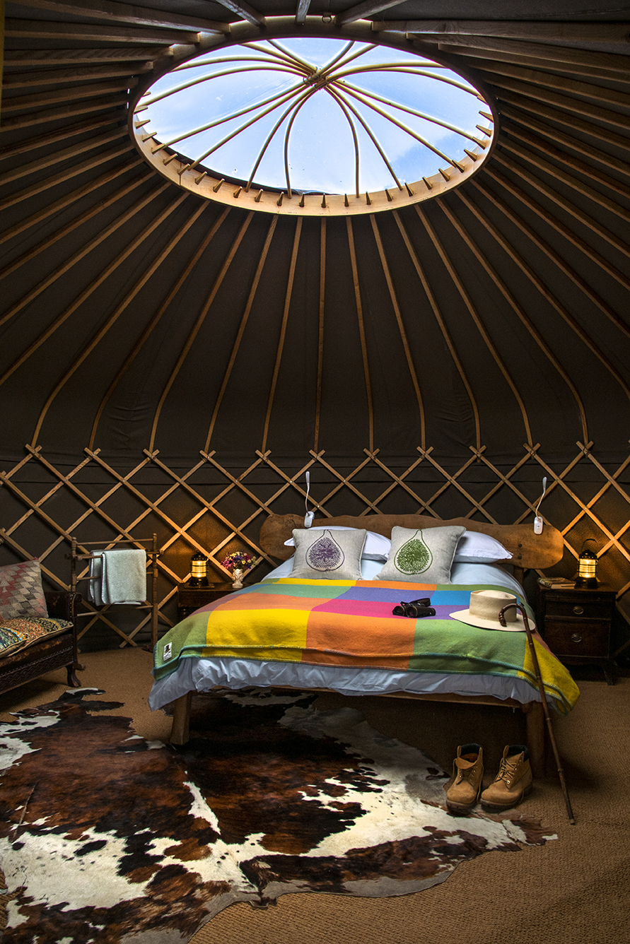 Turtle Dove Yurt - Knepp