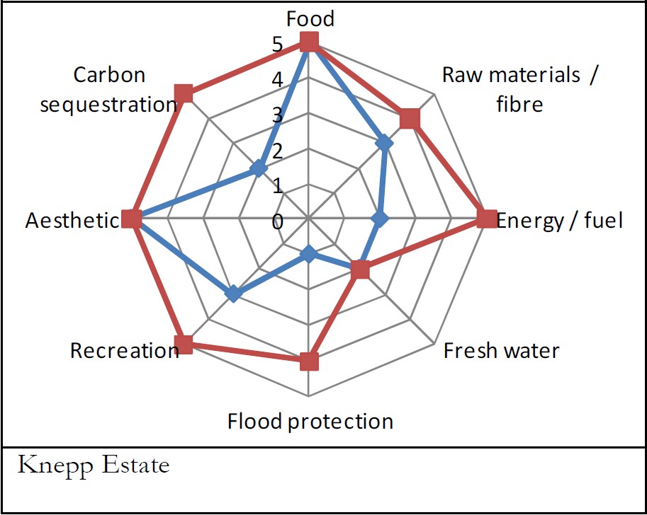 Ecosystem Services - Knepp