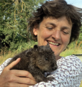 Licenced beaver reintroductions allowed - Isabella Tree responds - Knepp