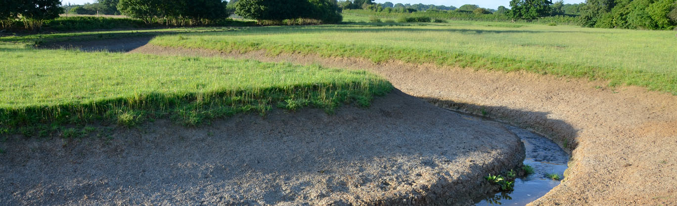 River Restoration - Knepp