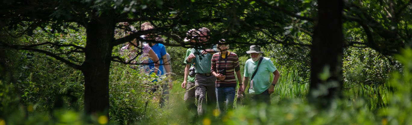 Plan Ahead - Knepp, West Sussex