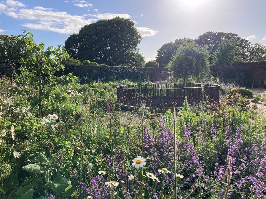 Walled Garden - Knepp