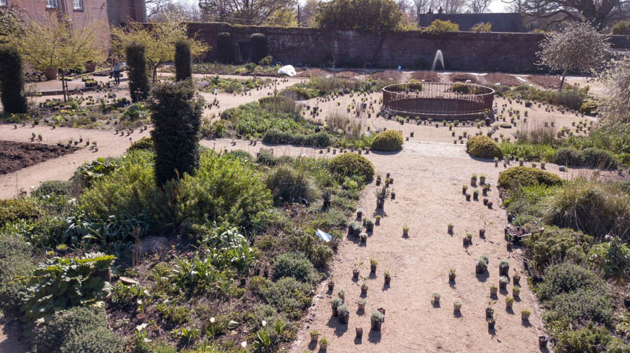 The Journey to Wilding the Garden ~ August 2022 - Knepp