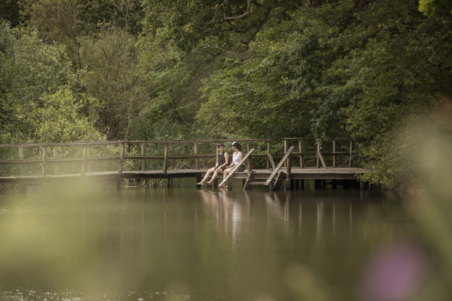 Glamping Facilities in West Sussex - Knepp