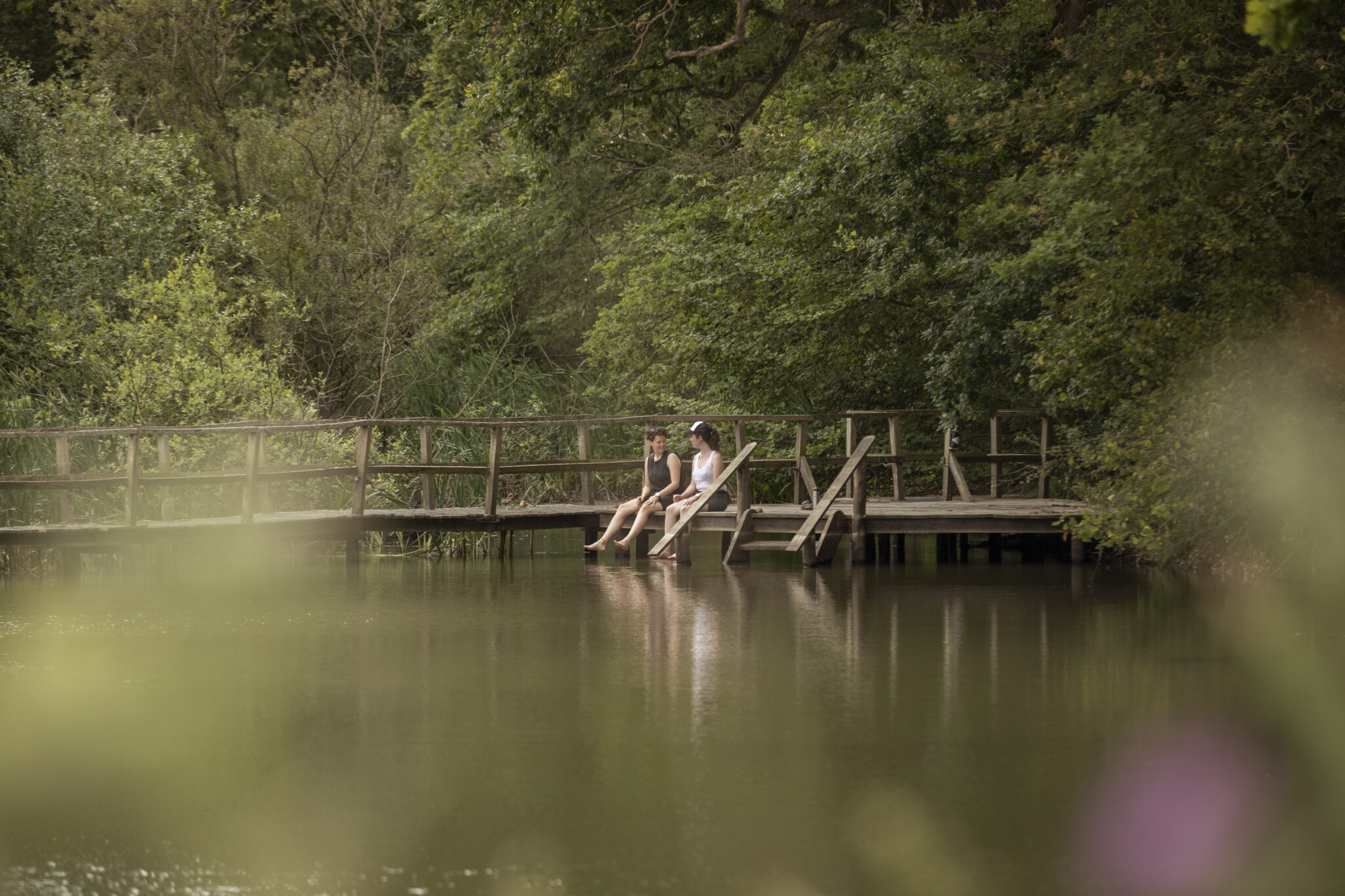 Glamping Facilities in West Sussex - Knepp