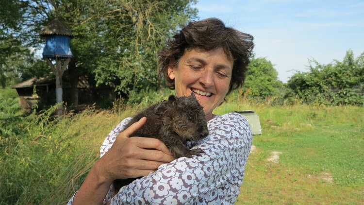 Isabella Tree - Writer and conservationist - Knepp
