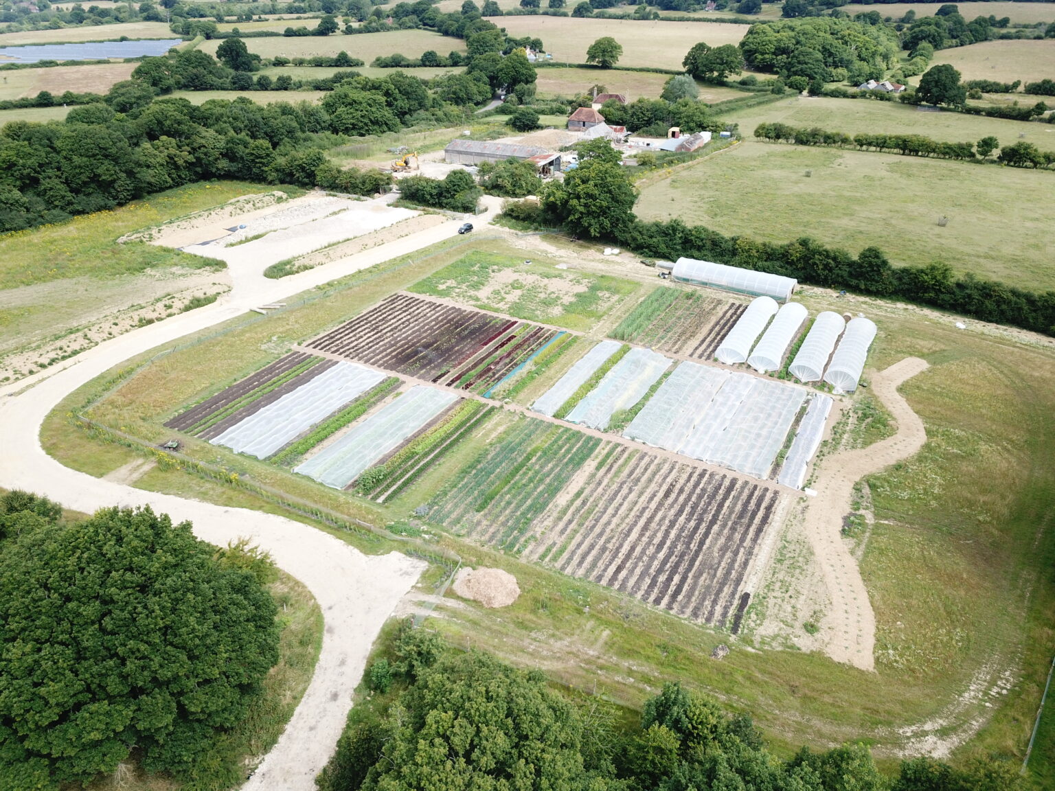 Regenerative Farm moves into its next phase alongside Knepp's Rewilding ...