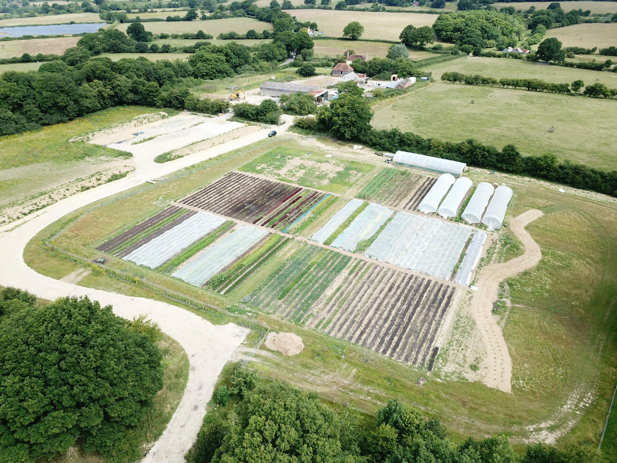 Regenerative Farm moves into its next phase alongside Knepp's Rewilding ...