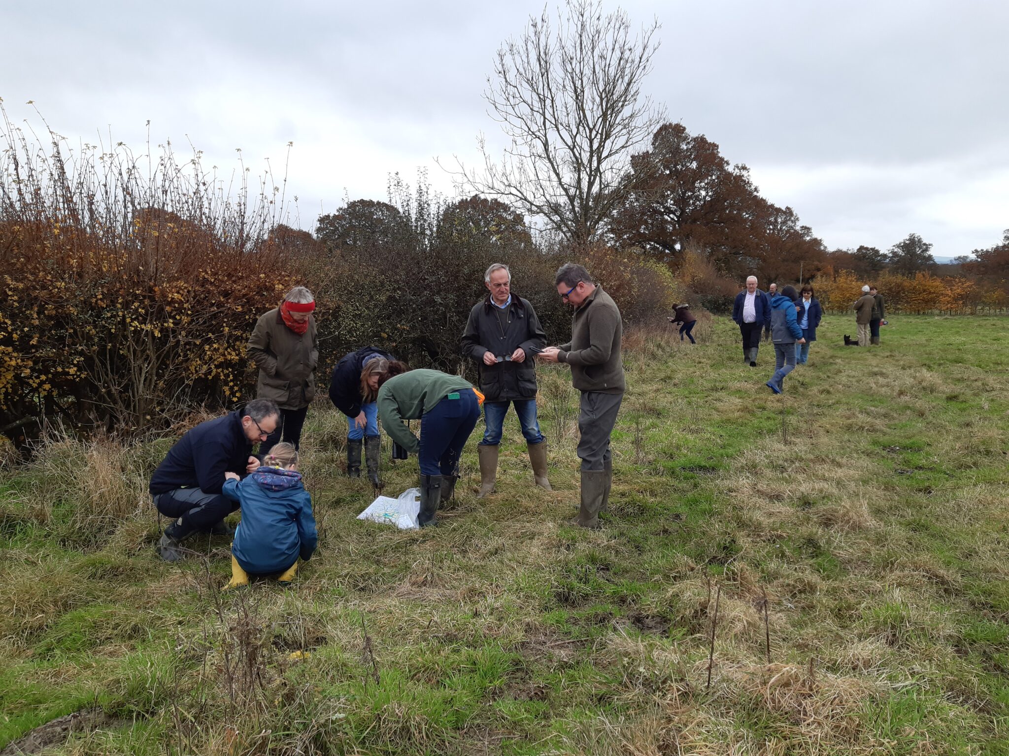 Regenerative Farm moves into its next phase alongside Knepp's Rewilding ...