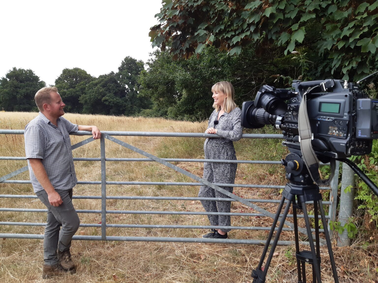 Regenerative Farm moves into its next phase alongside Knepp's Rewilding ...