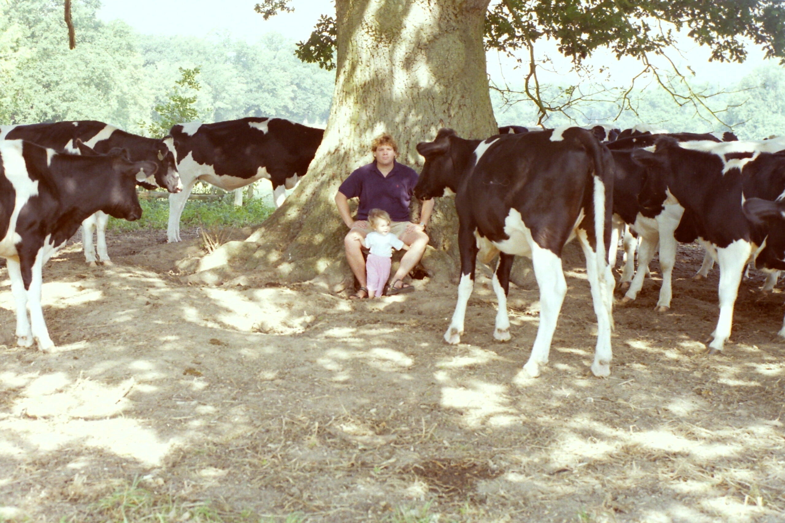 Farming At Knepp - Knepp