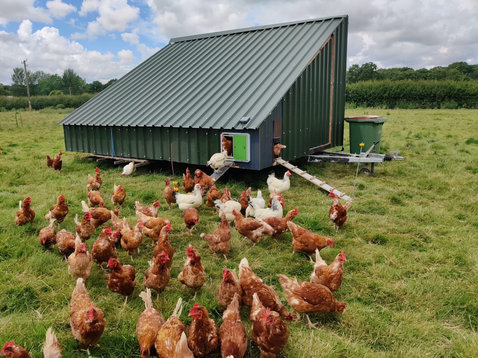 Regenerative Farm moves into its next phase alongside Knepp's Rewilding ...