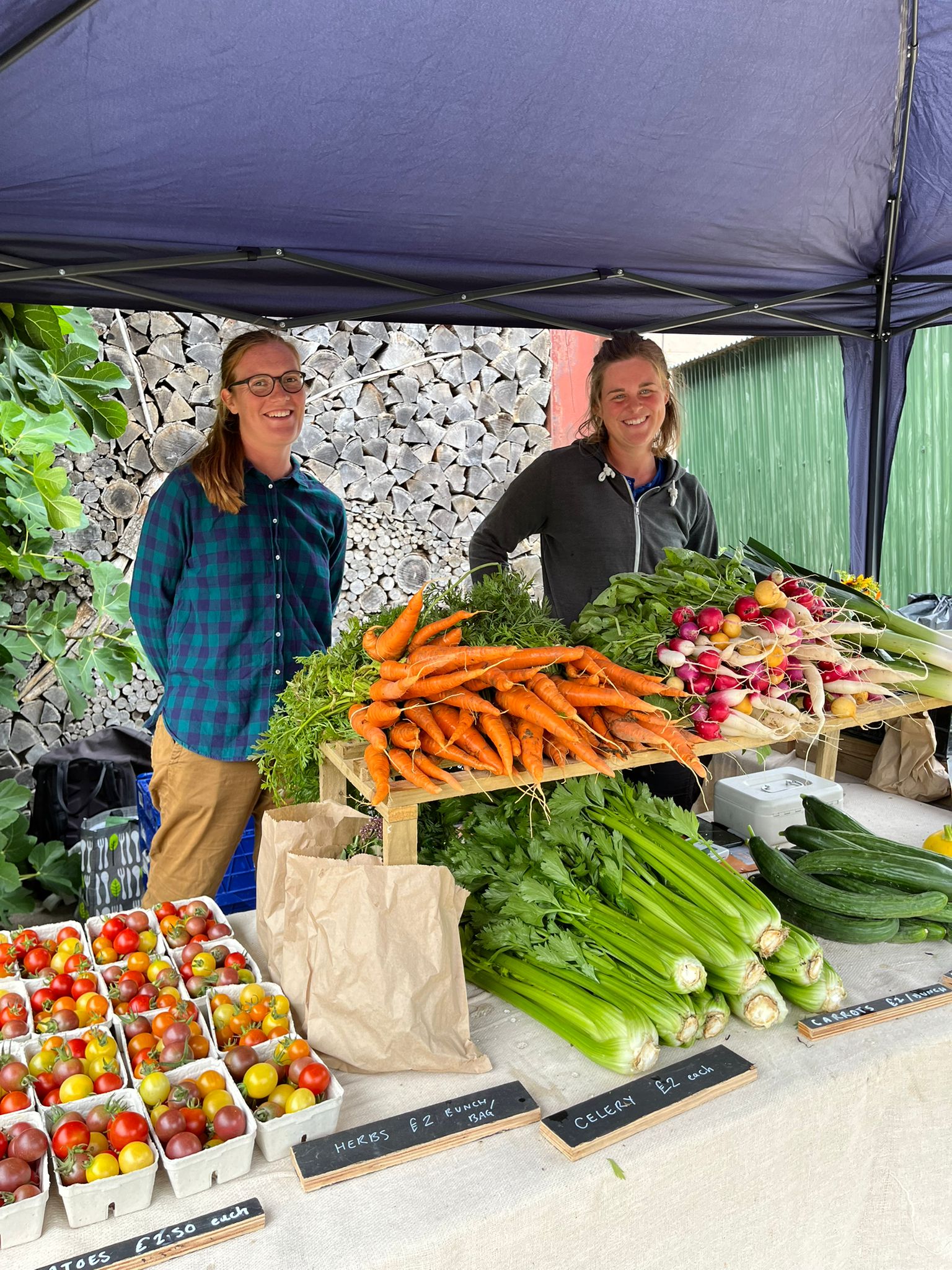 Regenerative Farm moves into its next phase alongside Knepp's Rewilding ...
