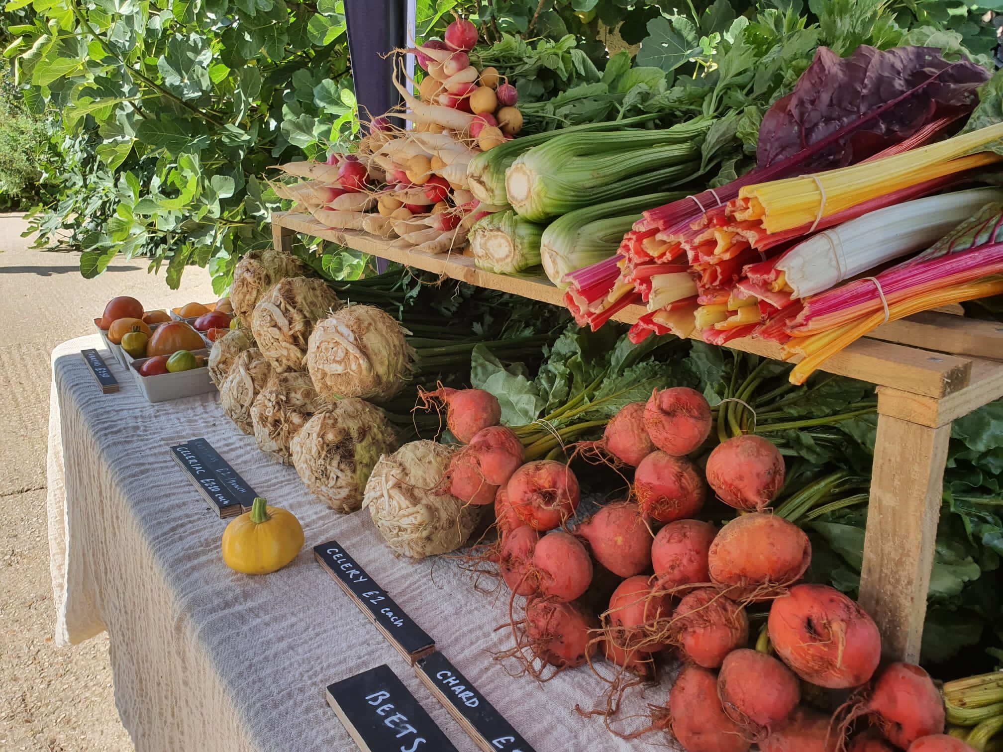 Regenerative Farm moves into its next phase alongside Knepp's Rewilding ...