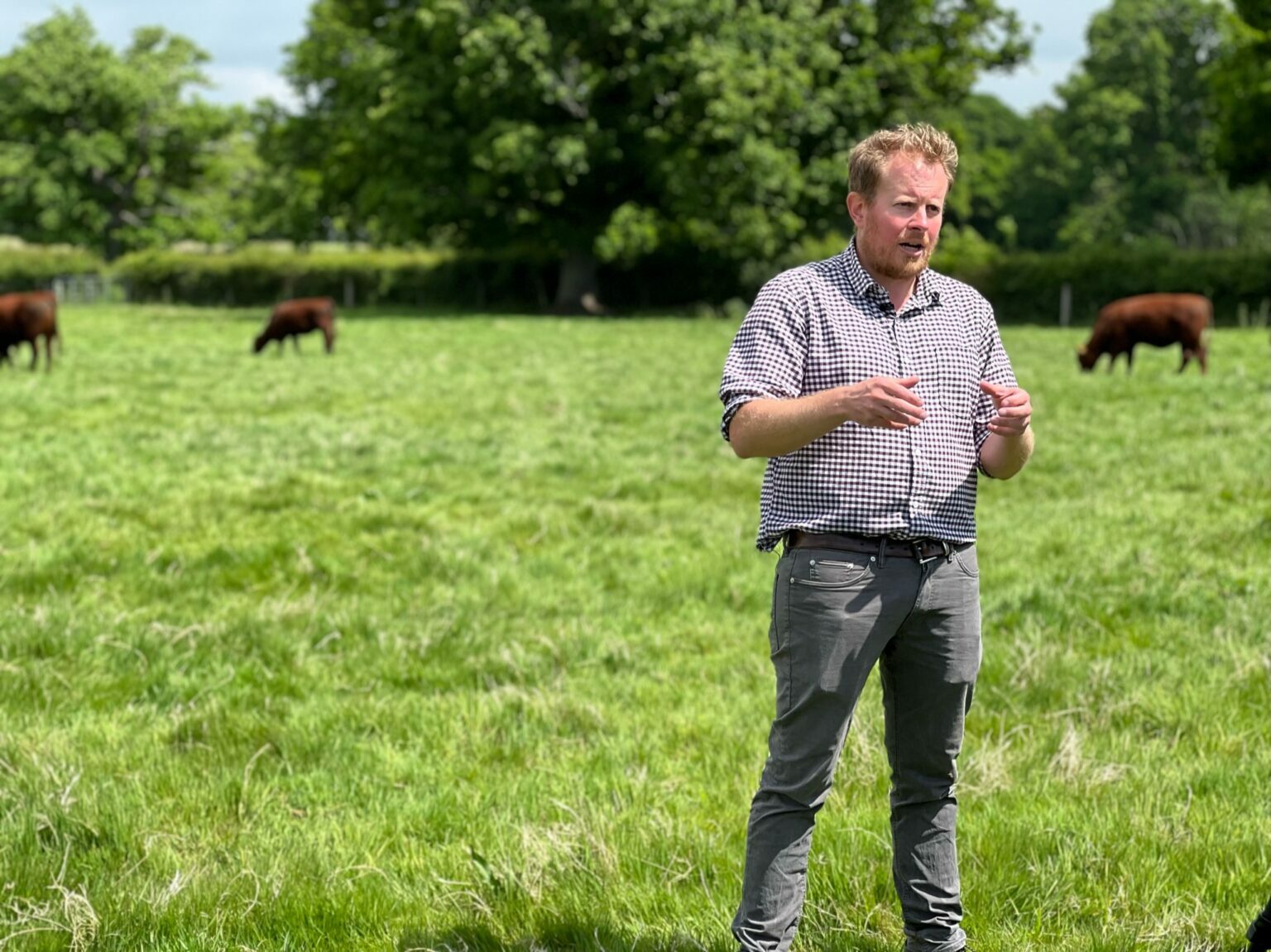 Regenerative Farm moves into its next phase alongside Knepp's Rewilding ...