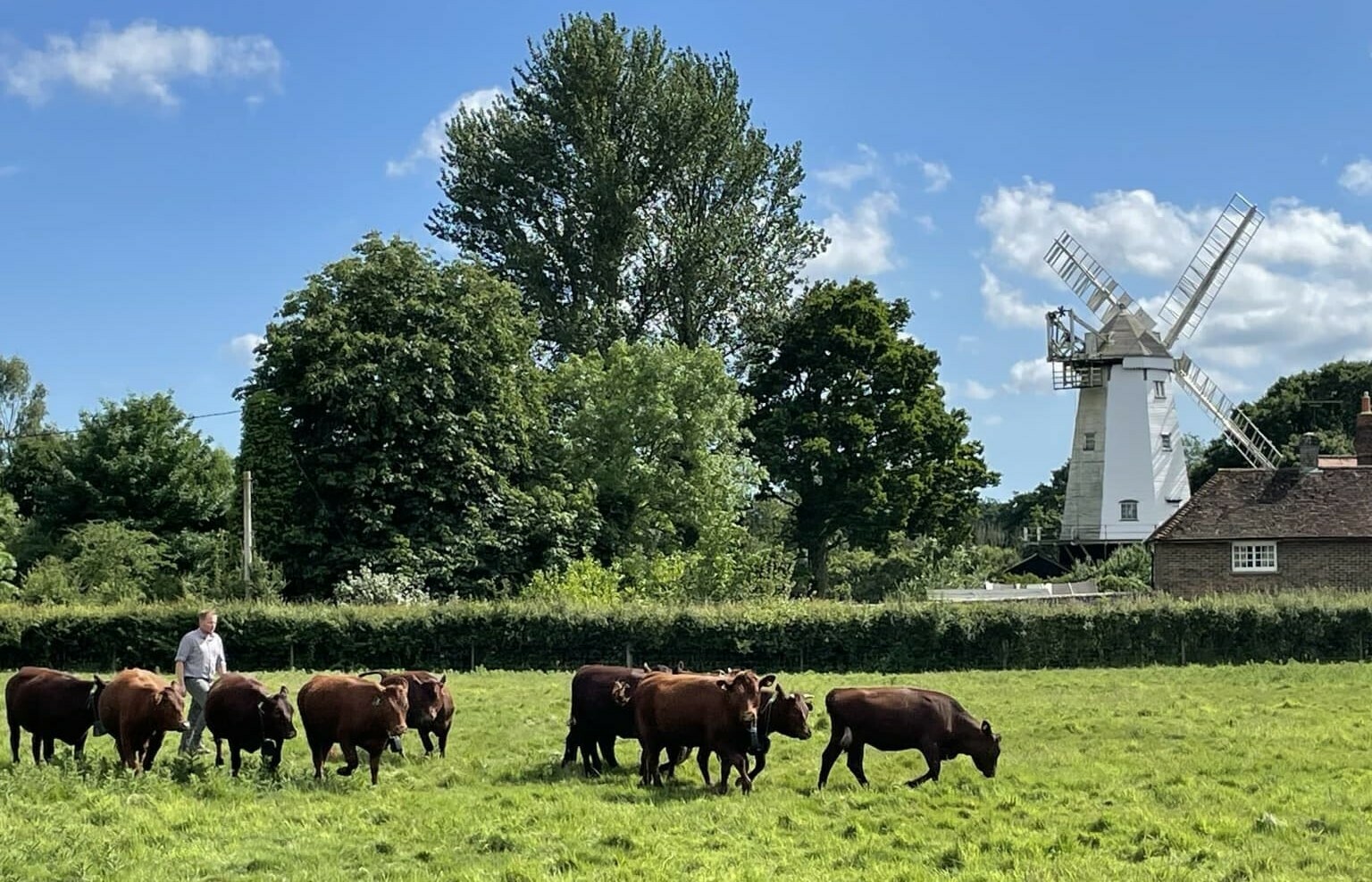 Regenerative Farm moves into its next phase alongside Knepp's Rewilding ...
