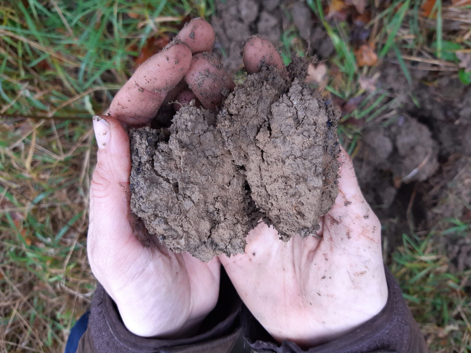 Regenerative Farm moves into its next phase alongside Knepp's Rewilding ...