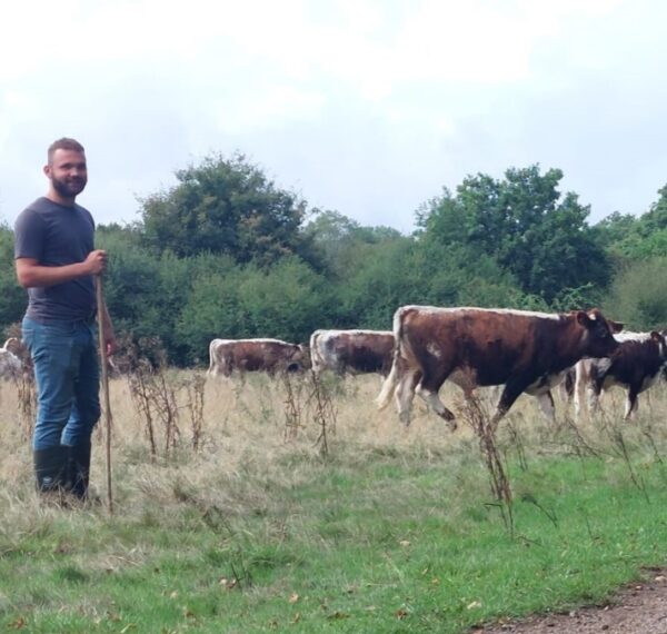 Regenerative Farm moves into its next phase alongside Knepp's Rewilding ...