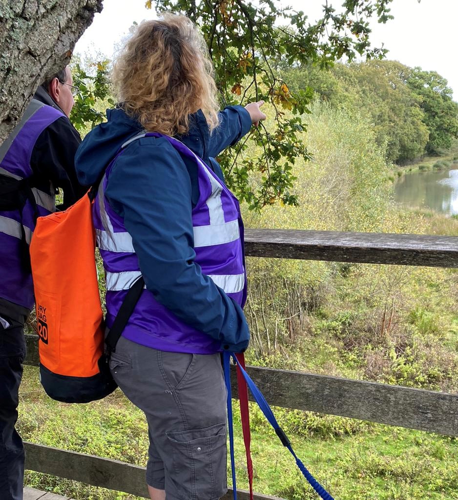 Rewilding volunteers - Knepp