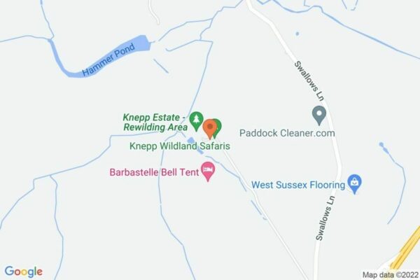 Private Walking Safari Pre-Visit Information - Knepp