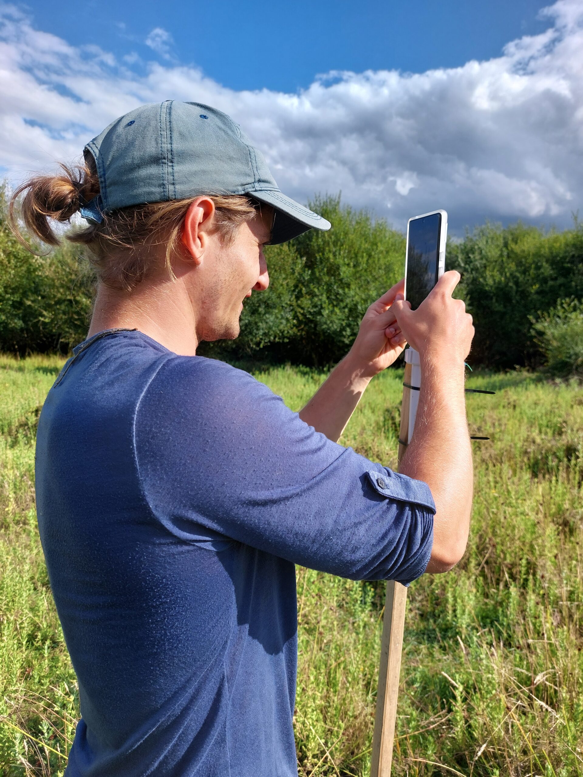 Wildland Podcast - Knepp