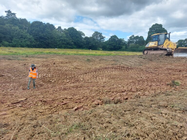 Wildland Podcast - Knepp