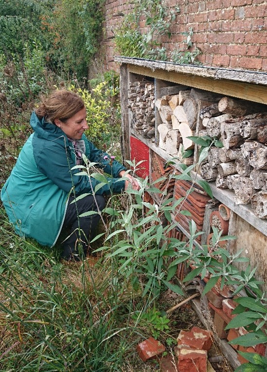 The Journey to Wilding the Garden October 2023 - Knepp