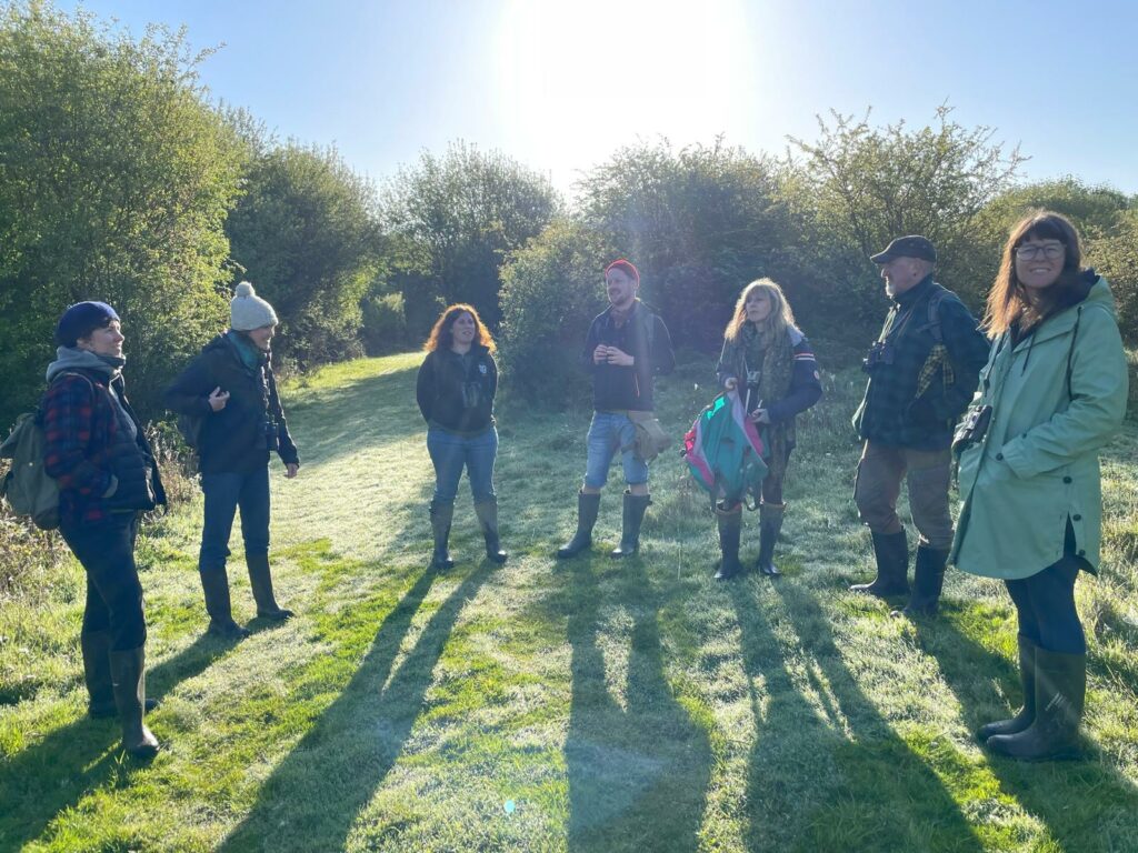 Wildland Podcast - Knepp