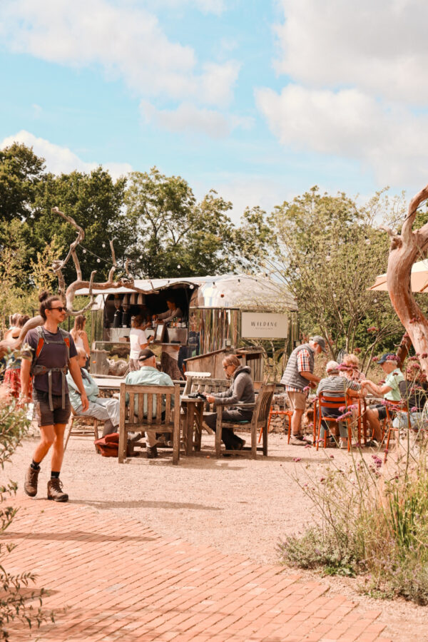 Wilding Kitchen & Shop - Knepp