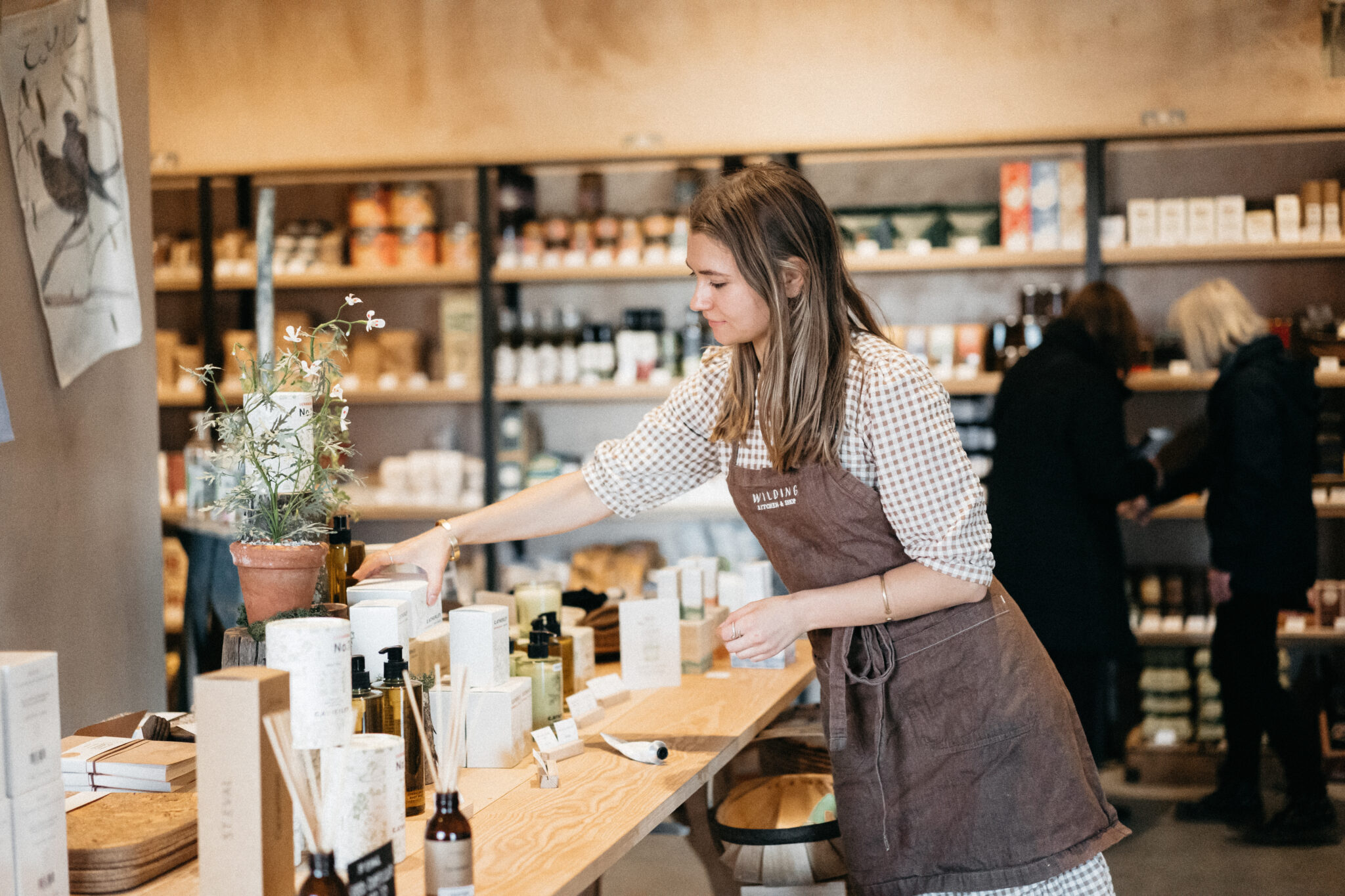 Wilding Shop - Knepp