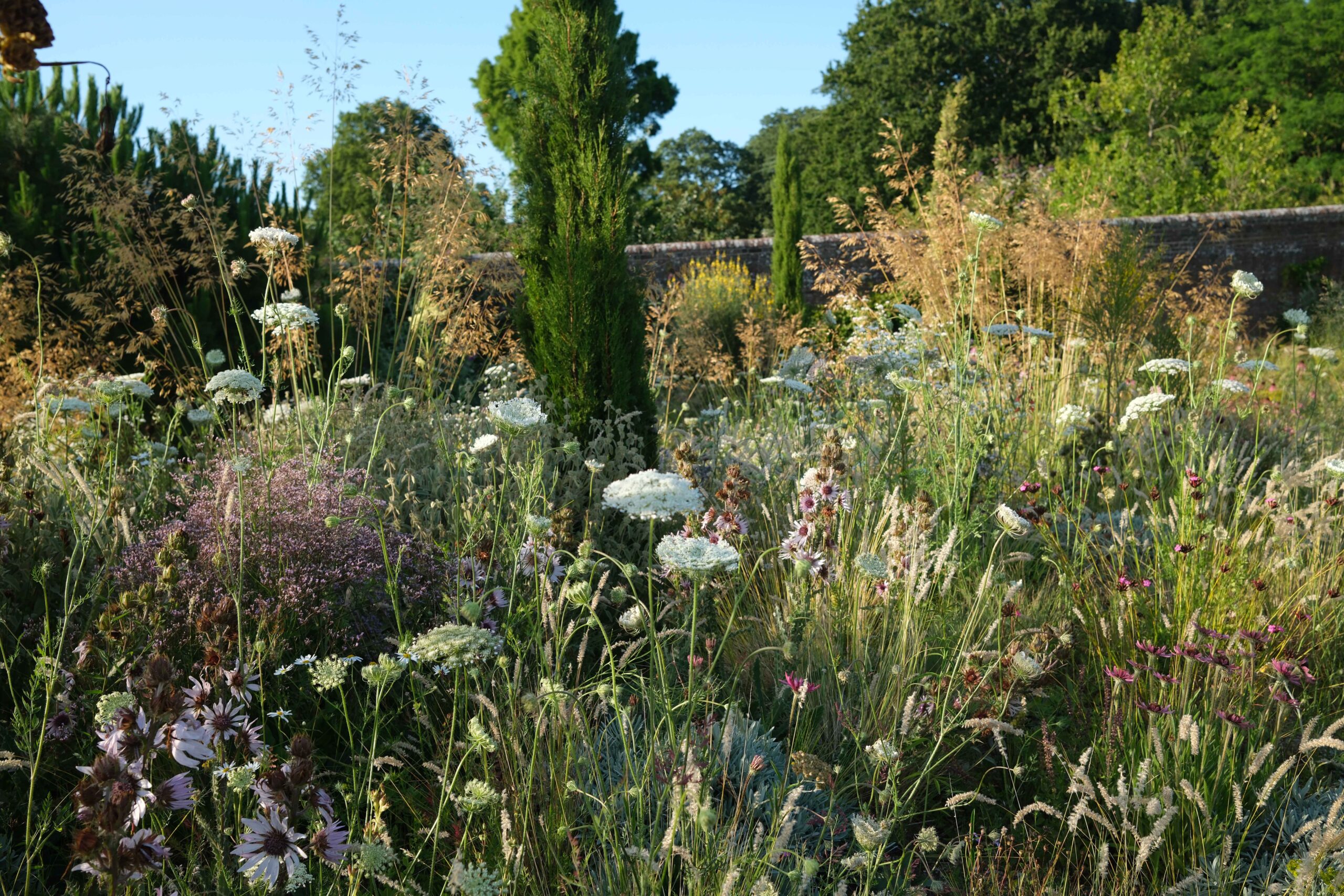 December: Looking back, looking forward - Knepp