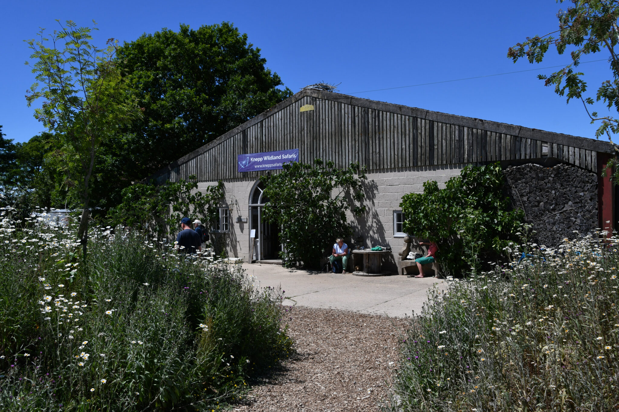 Camping Facilities in West Sussex - Knepp