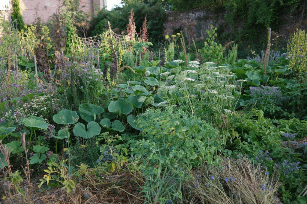 July: Edible Gardens - Knepp