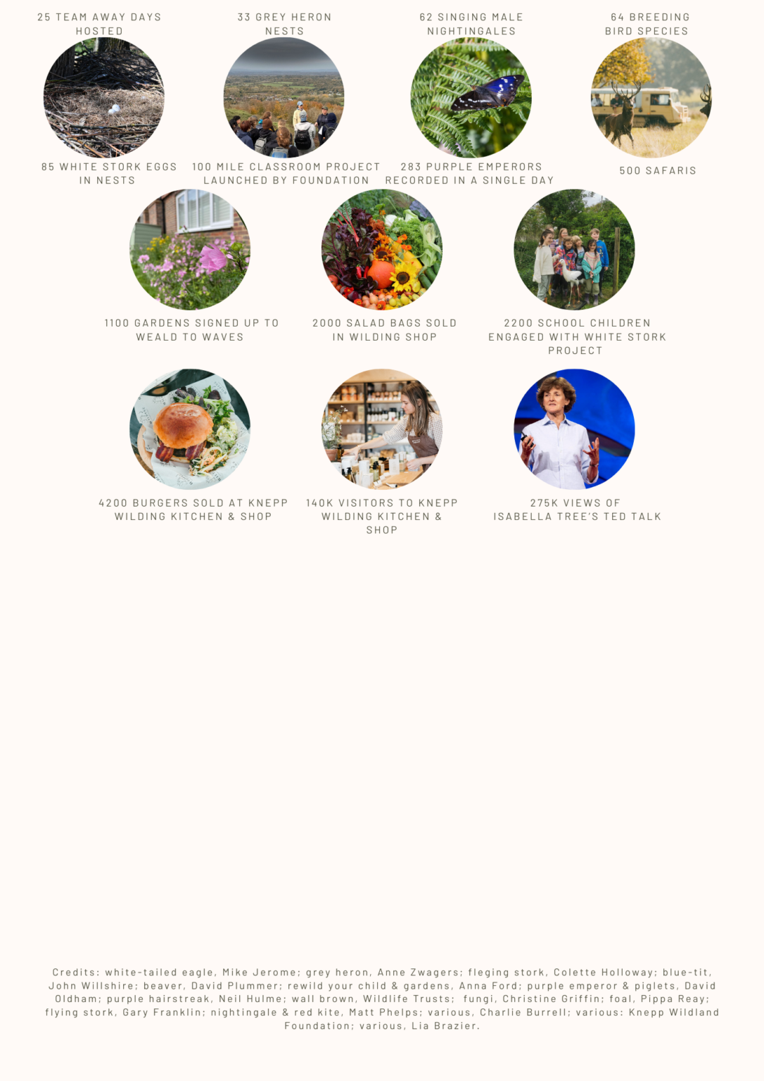 Knepp's 2025 in numbers - Knepp