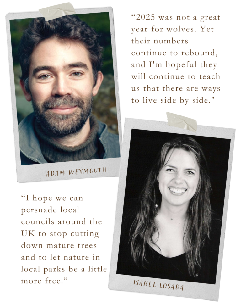 Authors' hopes for 2026 - Knepp